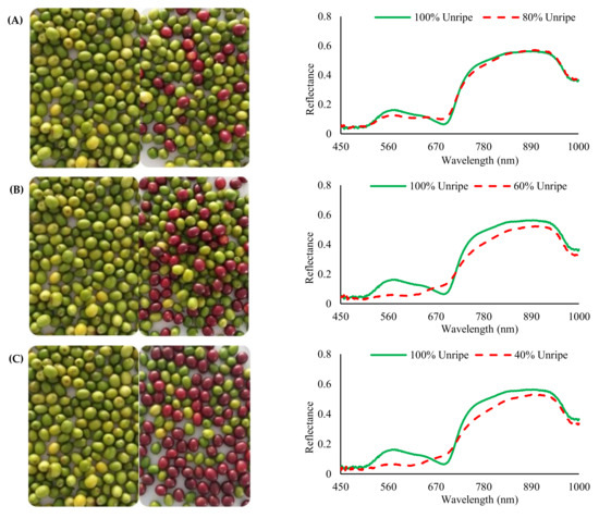 A Novel Vegetation Index for Coffee Ripeness Monitoring Using Aerial ...