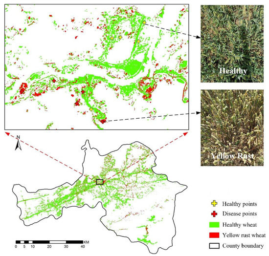Remote Sensing | Special Issue : Crop Disease Detection Using Remote ...