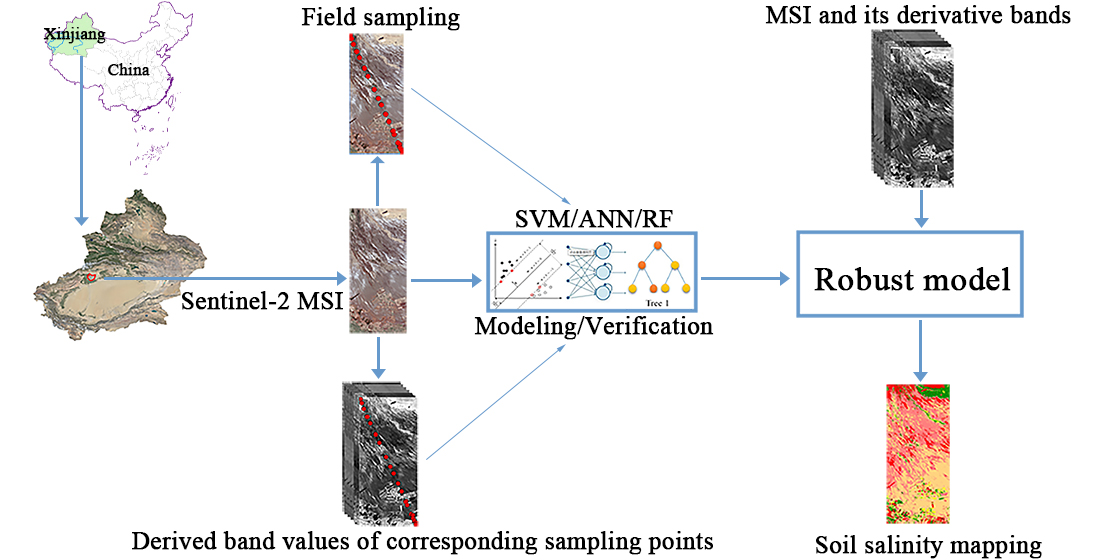 Remote Sensing | Free Full-Text | Soil Salinity Mapping Using Machine Learning Algorithms with ...