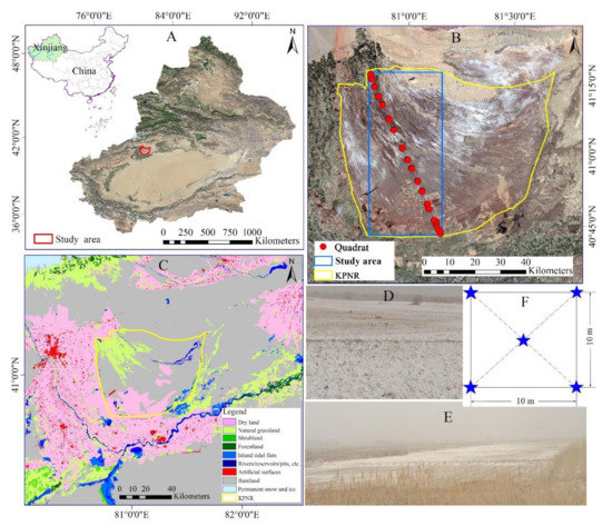 Soil Salinity Mapping Using Machine Learning Algorithms with the Sentinel-2 MSI in Arid Areas, China