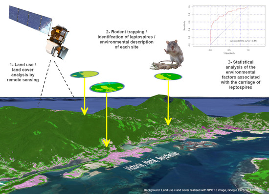 Remote Sensing | Special Issue : Remote Sensing for Health: from Fine ...