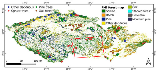 European Wide Forest Classification Based on Sentinel-1 Data