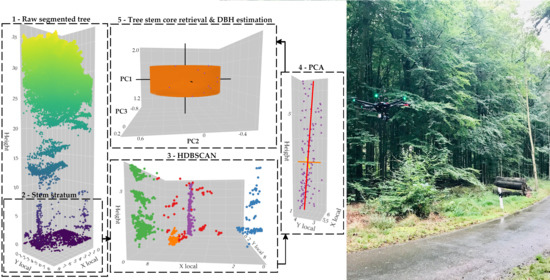Remote Sensing | Free Full-Text | Estimating Forest Structure from UAV ...