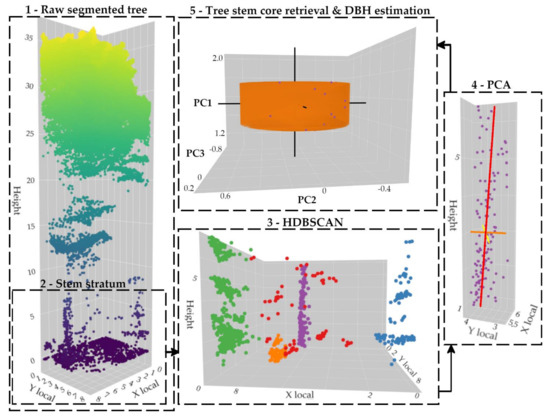 Estimating Forest Structure from UAV-Mounted LiDAR Point Cloud Using ...