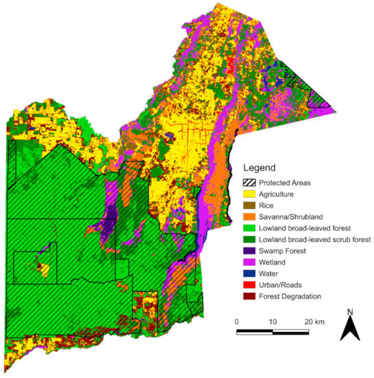 Tropical Forest and Wetland Losses and the Role of Protected Areas in ...