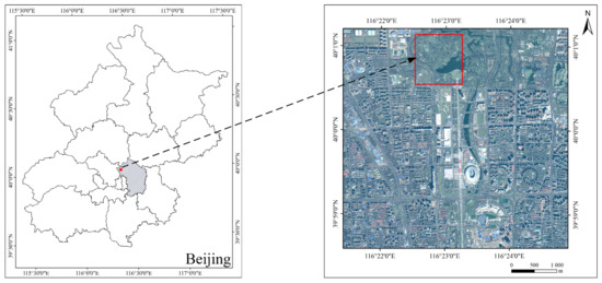 A New Individual Tree Species Recognition Method Based on a Convolutional Neural Network and ...