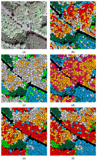 A New Individual Tree Species Recognition Method Based on a Convolutional Neural Network and ...
