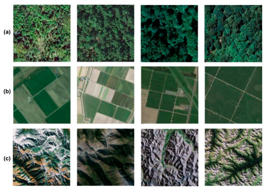 Landscape Similarity Analysis Using Texture Encoded Deep-Learning ...