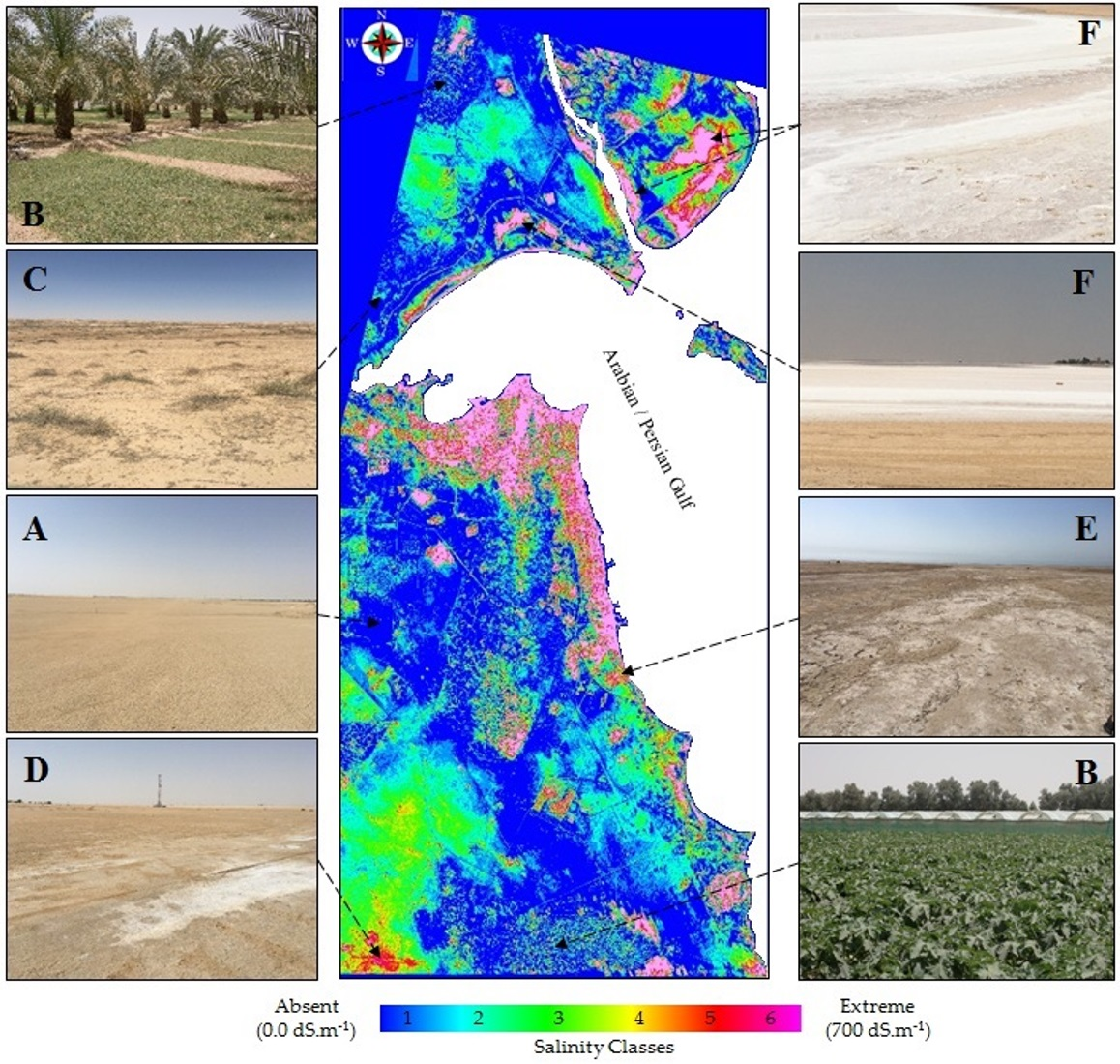 Remote Sensing | Free Full-Text | Validation and Comparison of Physical Models for Soil Salinity ...