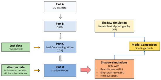 Modelling and Comparing Shading Effects of 3D Tree Structures with ...