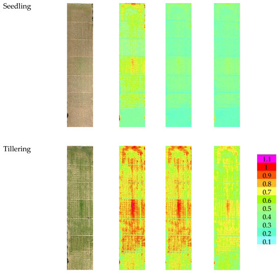 Vegetation Indices Data Clustering For Dynamic Monitoring And Classification Of Wheat Yield Crop