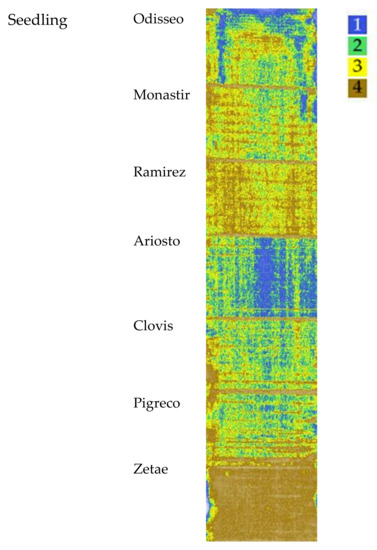 Vegetation Indices Data Clustering For Dynamic Monitoring And Classification Of Wheat Yield Crop