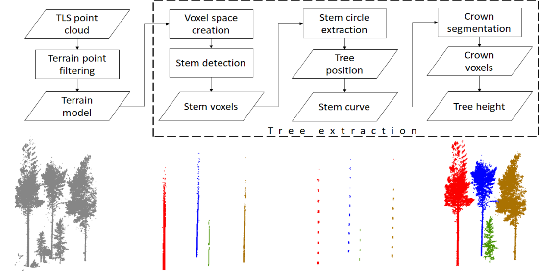 Remote Sensing | Free Full-Text | Voxel-Based Automatic Tree Detection ...