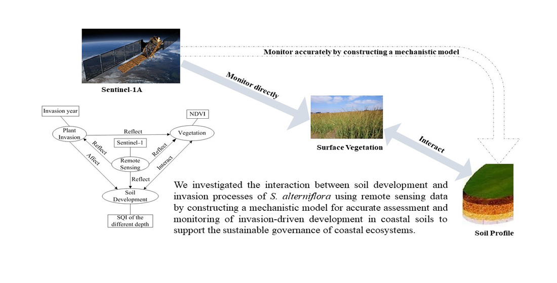 Remote Sensing | Free Full-Text | A Mechanistic Approach for Modeling ...