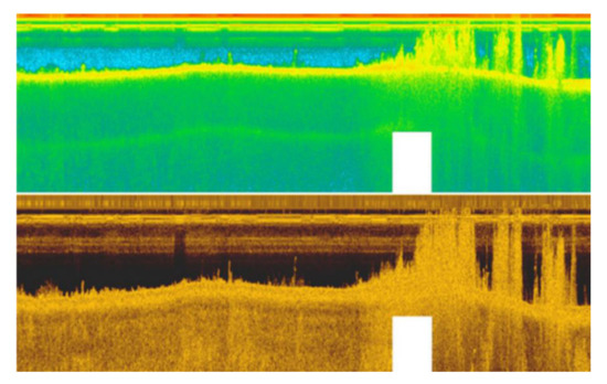 A Review of Remote Sensing of Submerged Aquatic Vegetation for Non ...