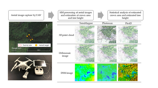 Remote Sensing | Free Full-Text | Effects of Differences in Structure ...