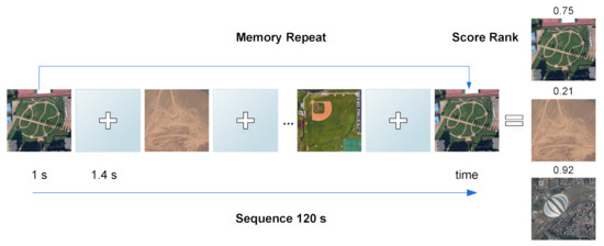 Scene Complexity: A New Perspective on Understanding the Scene ...