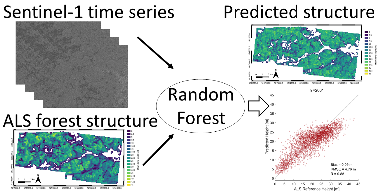 Remote Sensing | Free Full-Text | Potential of Sentinel-1 C-Band Time ...