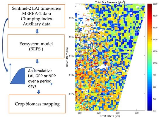 Remote Sensing Free Full Text Crop Biomass Mapping Based On Ecosystem Modeling At Regional