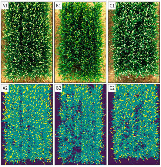 Remote Sensing Free Full Text A Neural Network Method For Classification Of Sunlit And