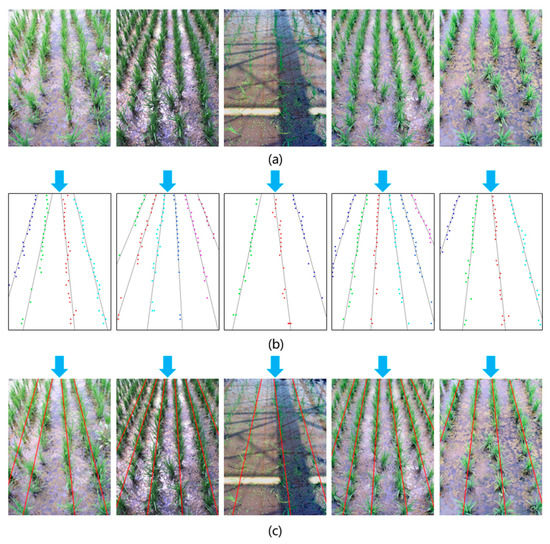 Crop Row Segmentation and Detection in Paddy Fields Based on Treble ...