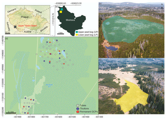 Mapping the Groundwater Level and Soil Moisture of a Montane Peat Bog ...