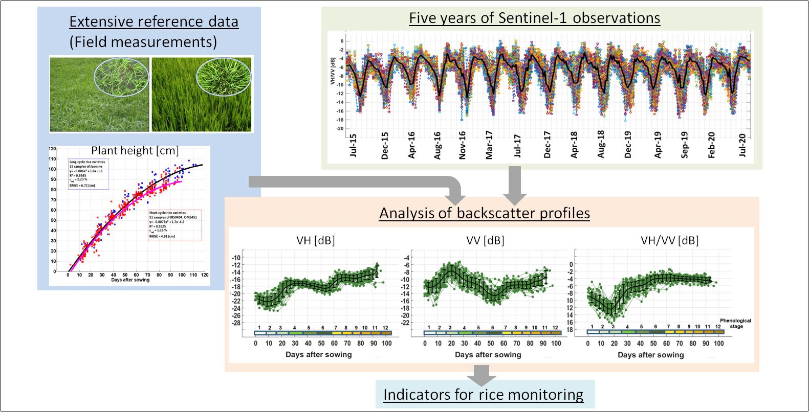 Remote Sensing | Free Full-Text | Understanding Dense Time Series of ...