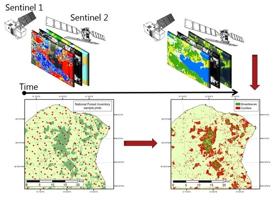 Remote Sensing | Free Full-Text | Classification of Nemoral Forests with Fusion of Multi ...