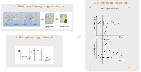 Remote Sensing | Free Full-Text | Mapping Paddy Rice with Sentinel-1/2 and Phenology-, Object ...