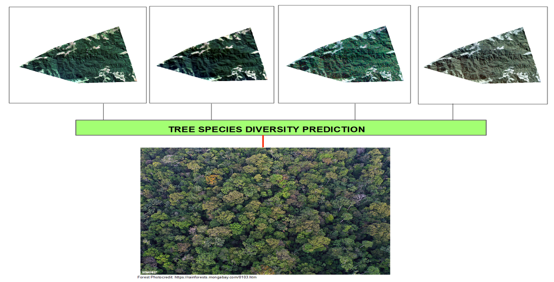 Remote Sensing | Free Full-Text | Evaluating Multi-Sensors Spectral and ...
