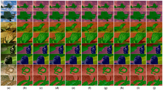 CONIC: Contour Optimized Non-Iterative Clustering Superpixel Segmentation