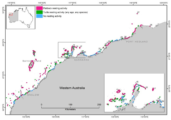 Using Aerial Photogrammetry to Assess Stock-Wide Marine Turtle Nesting ...