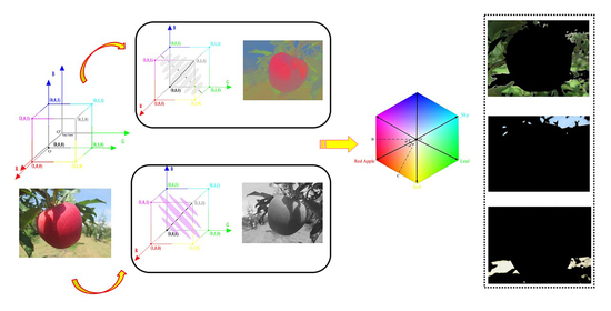 Remote Sensing | Free Full-Text | A Method of Segmenting Apples Based on Gray-Centered RGB Color ...