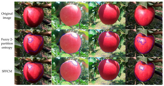 A Method of Segmenting Apples Based on Gray-Centered RGB Color Space