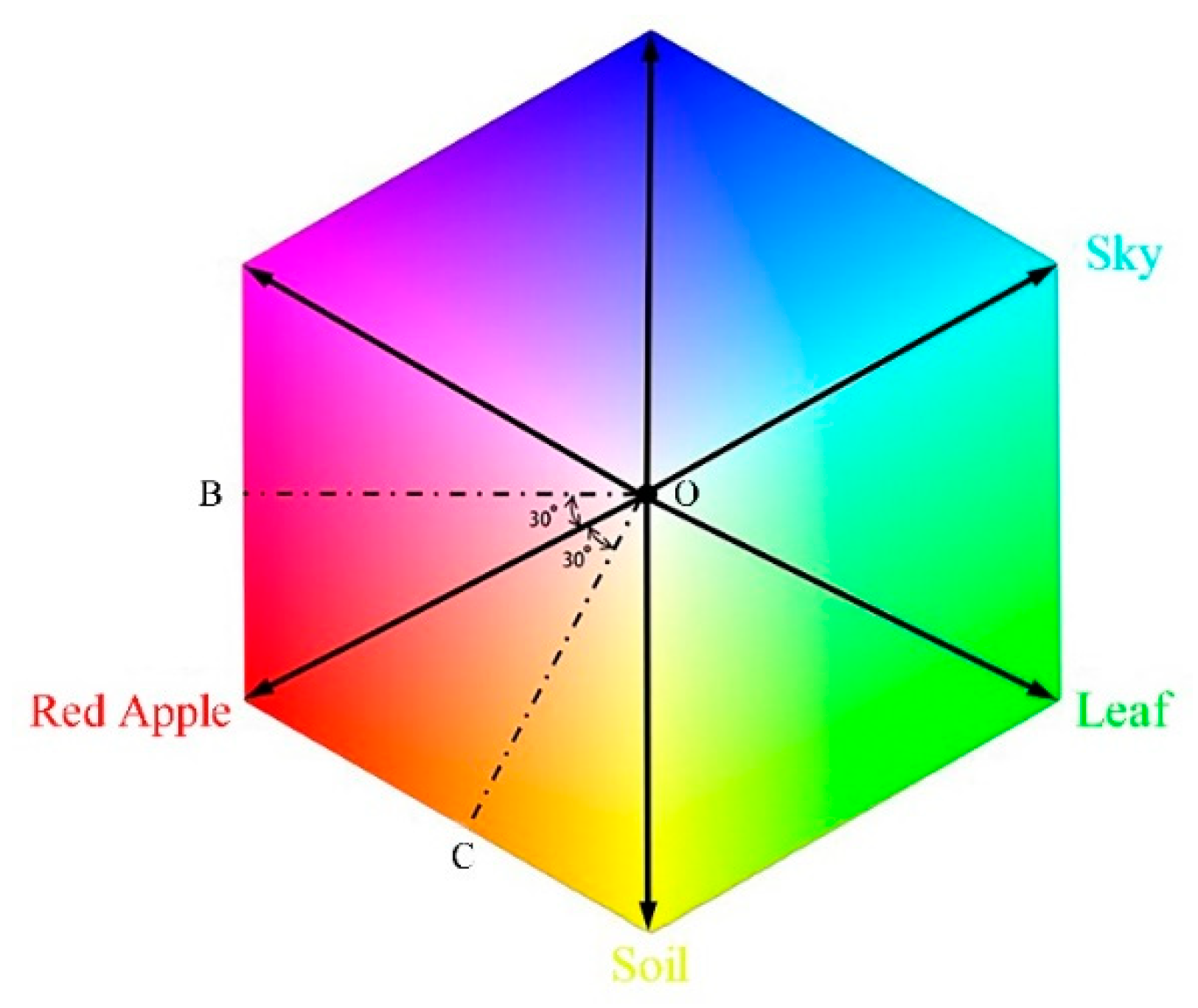 A Method of Segmenting Apples Based on Gray-Centered RGB Color Space