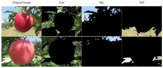 A Method of Segmenting Apples Based on Gray-Centered RGB Color Space