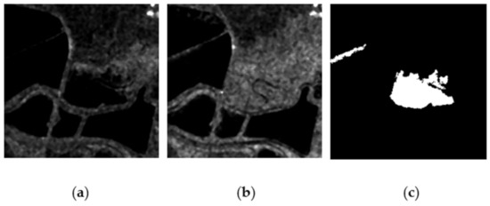 Patch-Based Change Detection Method for SAR Images with Label Updating Strategy