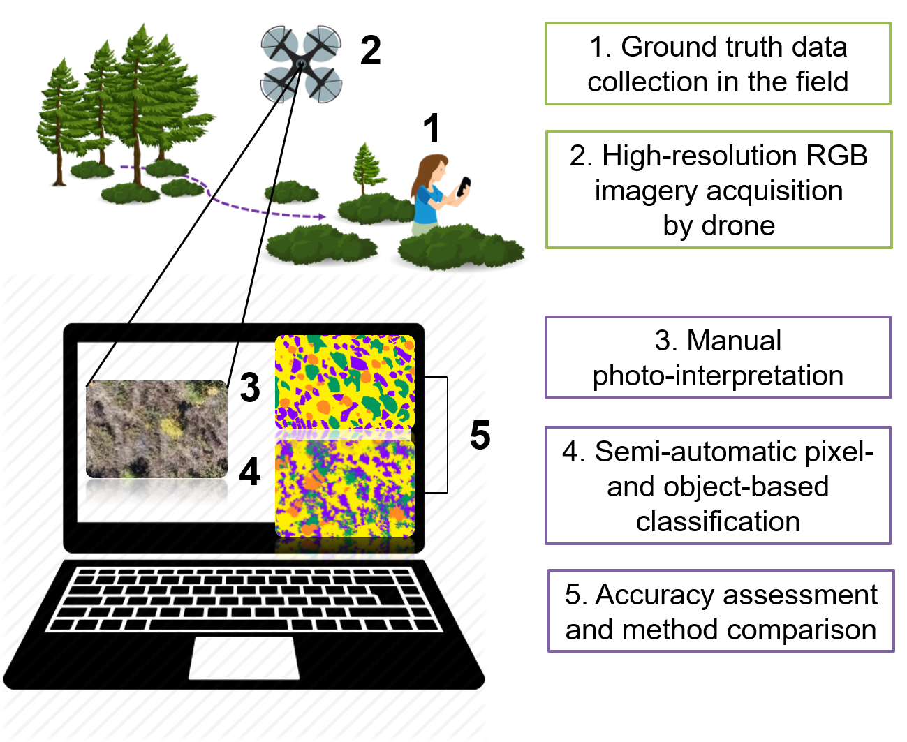 Remote Sensing | Free Full-Text | Using UAV Imagery to Detect and Map ...