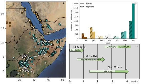 Remote Sensing | Free Full-Text | Detecting Desert Locust Breeding ...