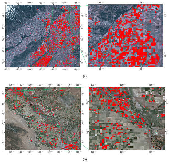 Automatic Cotton Mapping Using Time Series of Sentinel-2 Images
