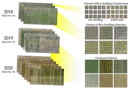 Remote Sensing | Free Full-Text | A UAV Open Dataset of Rice Paddies ...