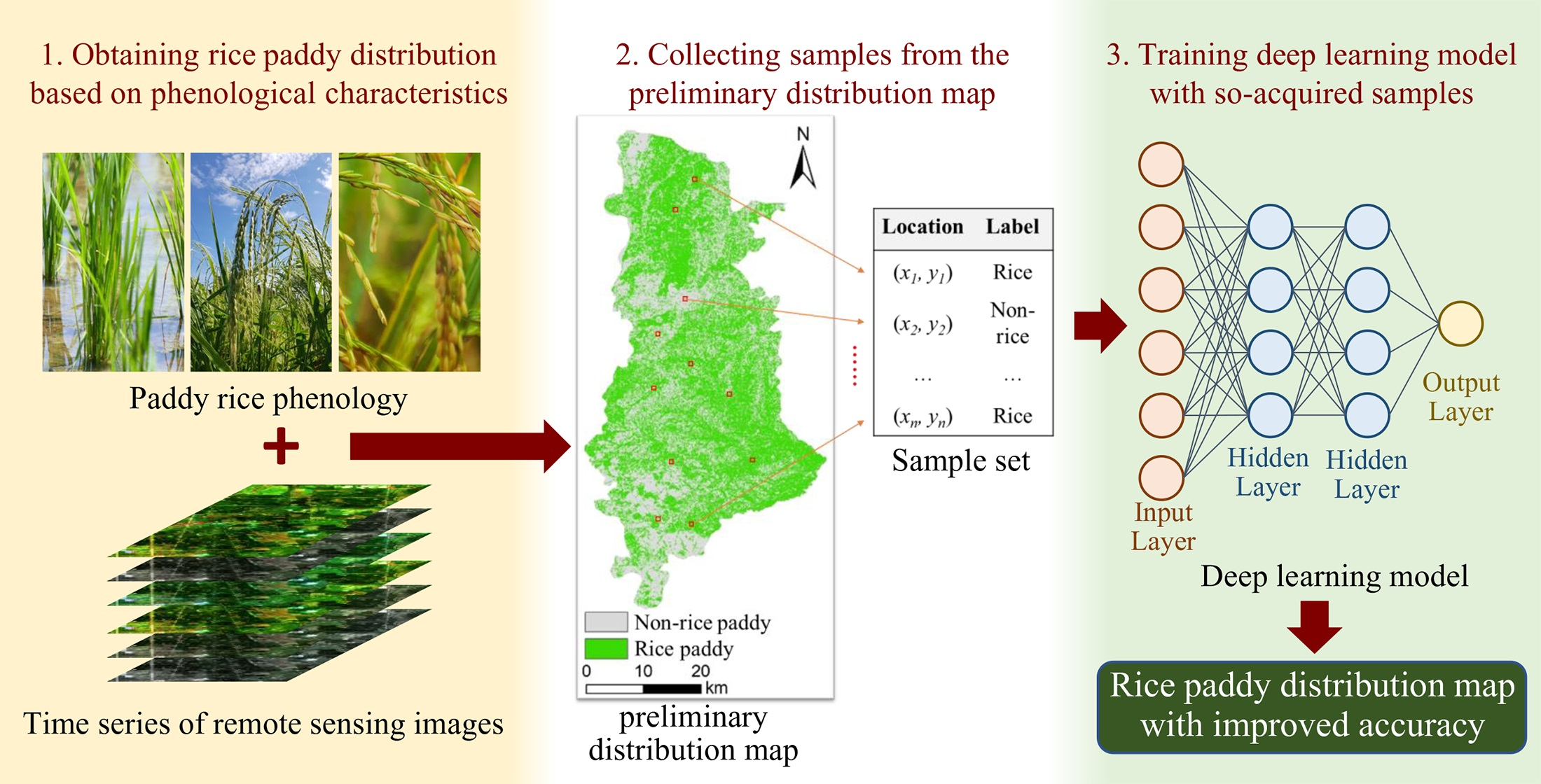 Remote Sensing | Free Full-Text | Mapping Rice Paddy Distribution Using ...