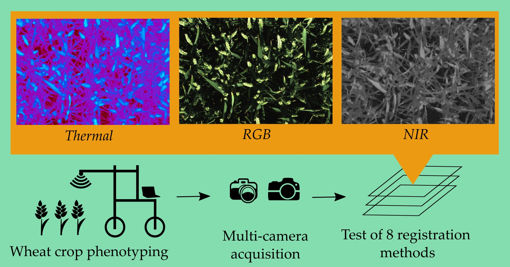 Remote Sensing | Free Full-Text | Registration and Fusion of Close ...