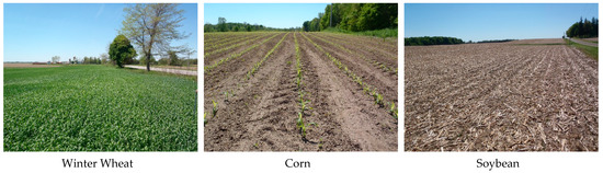 Crop Monitoring and Classification Using Polarimetric RADARSAT-2 Time ...