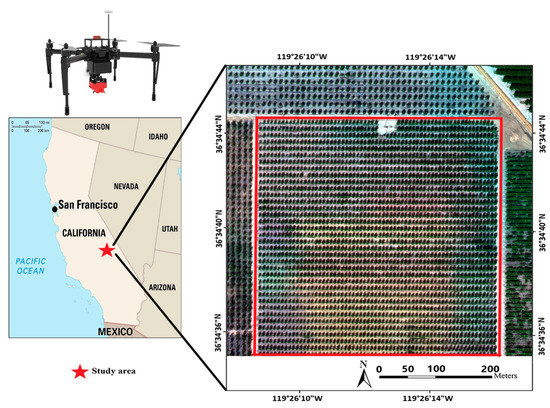 Fusion of Multispectral Aerial Imagery and Vegetation Indices for ...