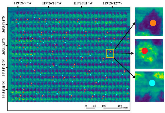 Fusion of Multispectral Aerial Imagery and Vegetation Indices for ...