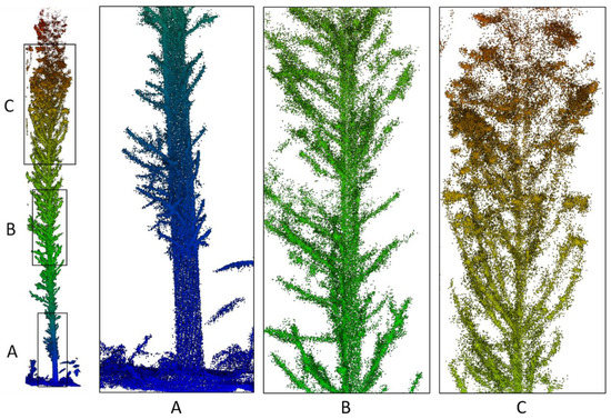 Sensor Agnostic Semantic Segmentation of Structurally Diverse and Complex Forest Point Clouds ...