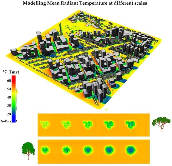 Remote Sensing | Free Full-Text | Modeling Mean Radiant Temperature ...