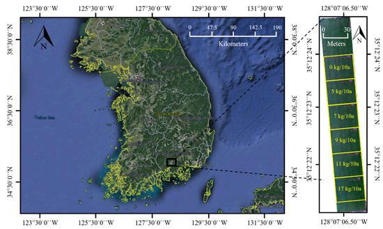 Remote Sensing | Free Full-Text | Assessment of Regression Models for ...