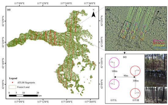 Mapping the Forest Canopy Height in Northern China by Synergizing ICESat-2 with Sentinel-2 Using ...